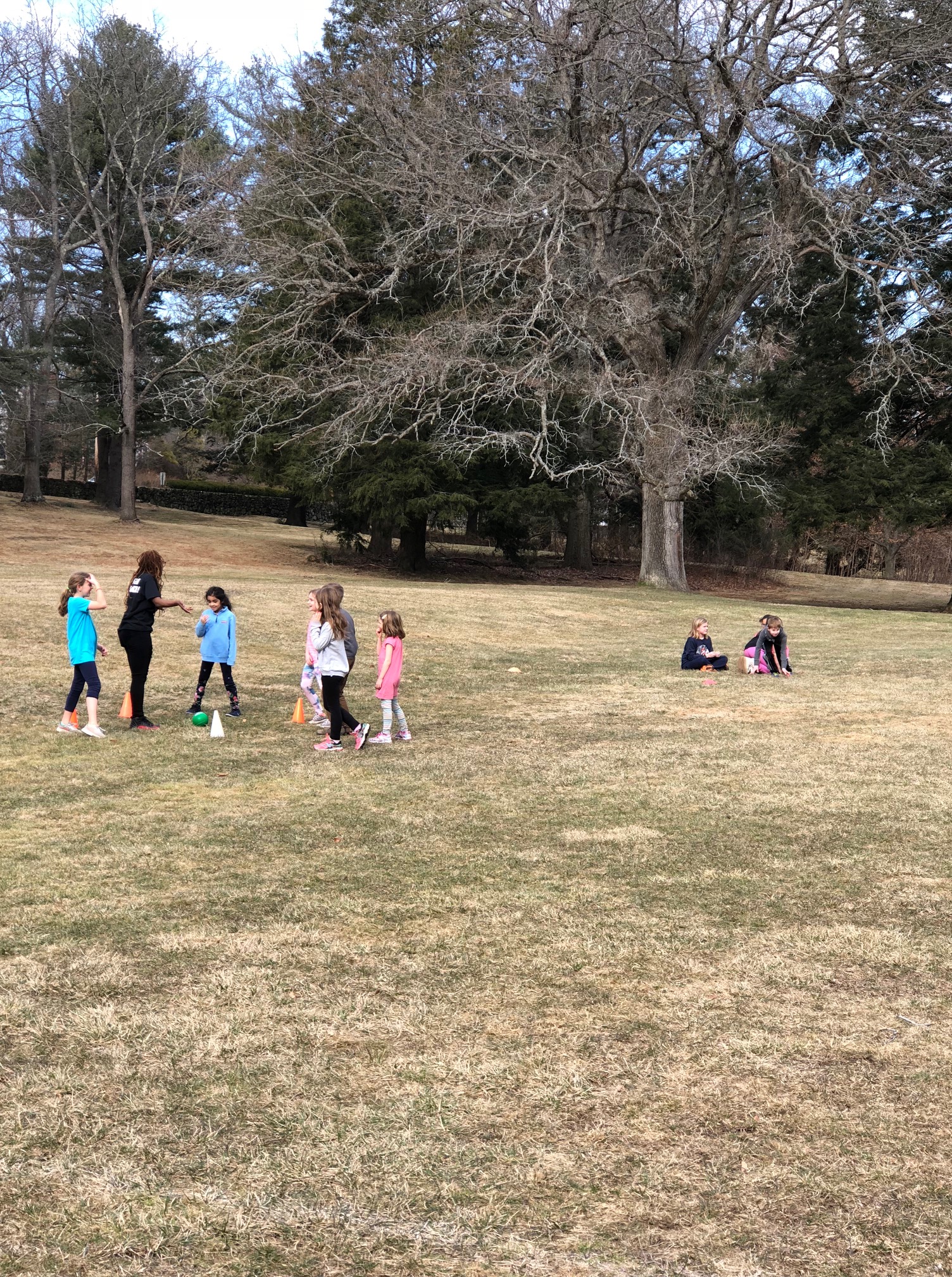 School Vacation Programs | LEAP :: Lincoln Extended-day Activities Program